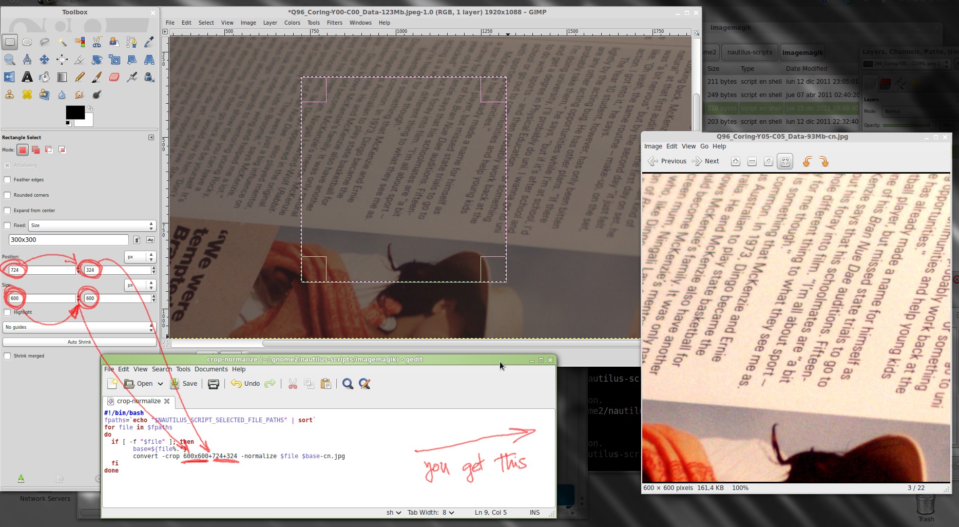 Imagemagick 4: Batch Process script to Crop and Normalize (for example ...